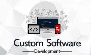 Custom Software Development Company in Delhi NCR, India